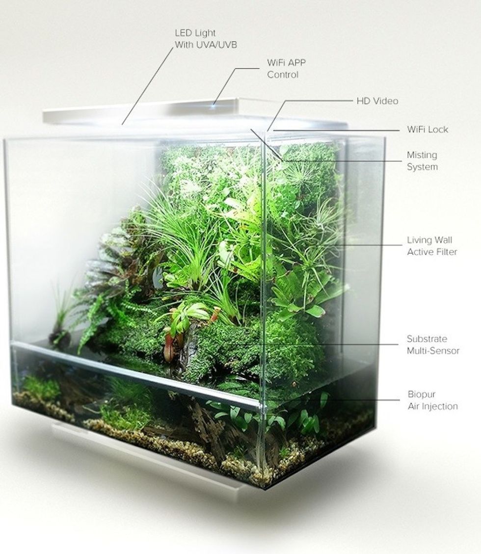 World's First Smart Microhabitat Grows Just About Anything - EcoWatch