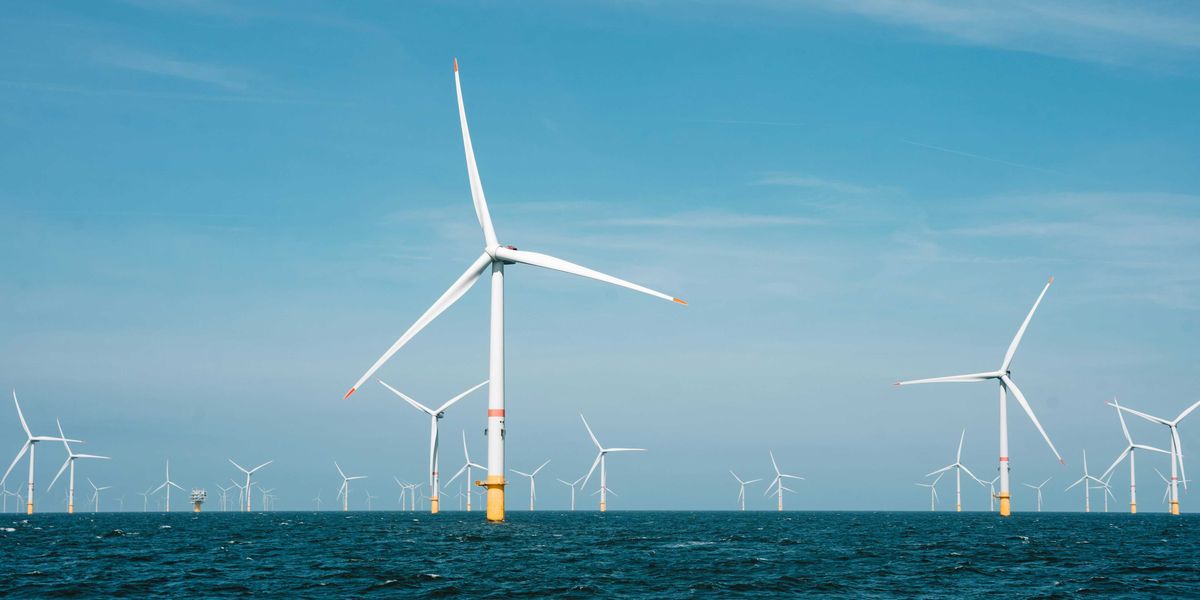 TotalEnergies deal shows evolution in Trump anti-wind strategy - Energy ...