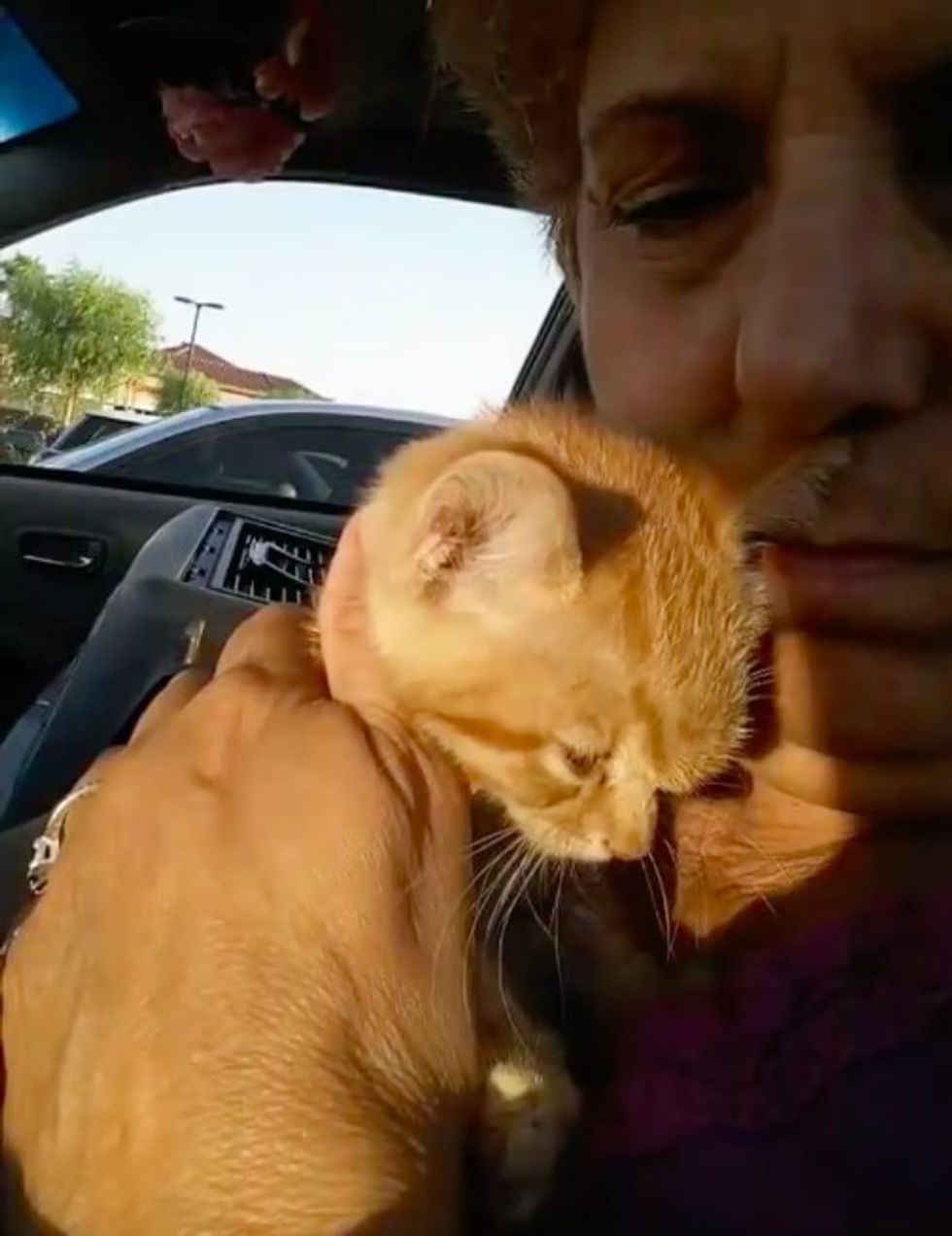 Woman Saves Kitten from Death Row in the Nick of Time and Turns Her ...