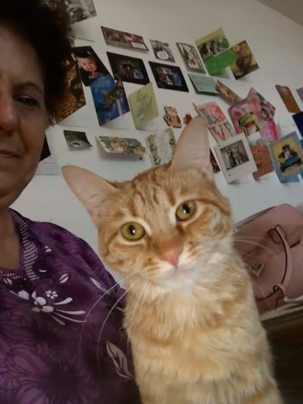 Woman Saves Kitten from Death Row in the Nick of Time and Turns Her ...