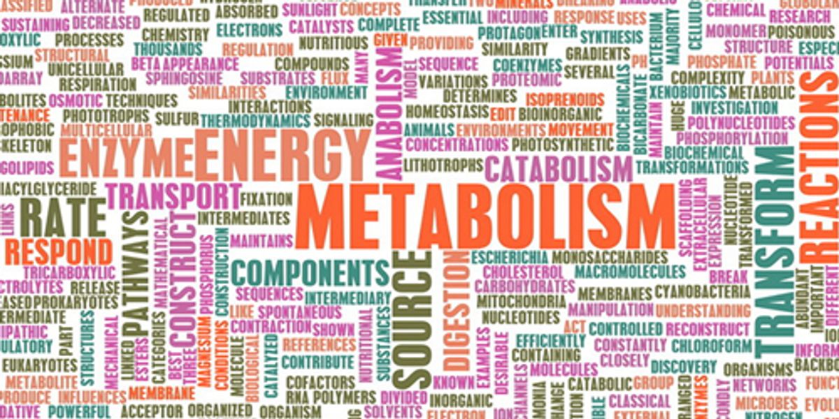 7 Ways to Increase Your Metabolism - EcoWatch