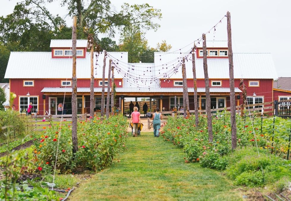 The Heirloom Tomato Tells the Story of Hanover County - It's a Southern ...