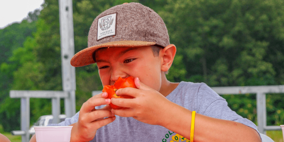 The Heirloom Tomato Tells the Story of Hanover County - It's a Southern ...