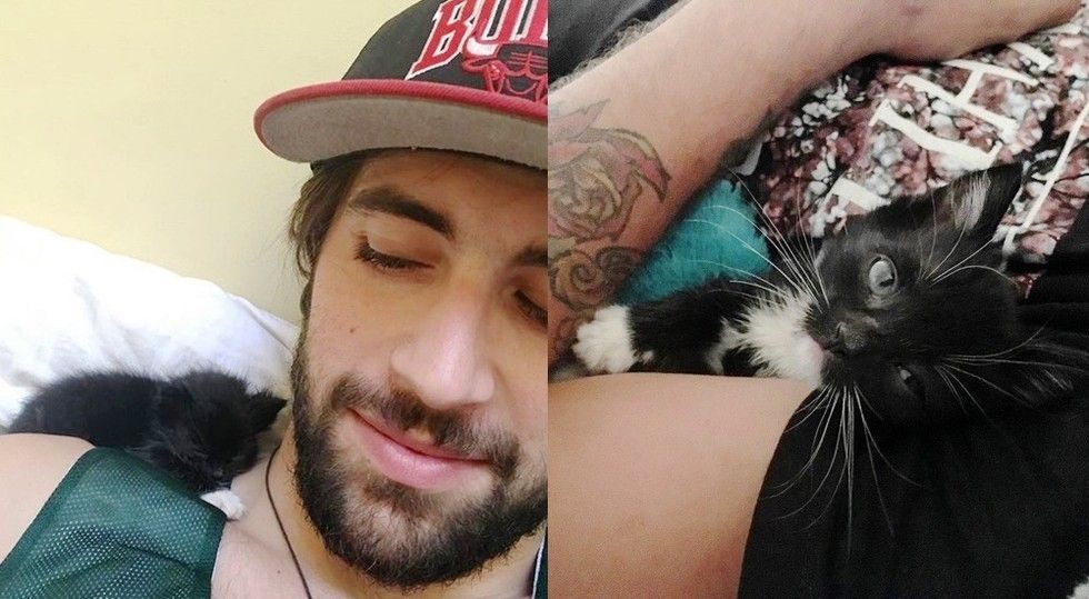 Runty Kitten Chooses His Rescuers to Be His Family for Life - Love Meow