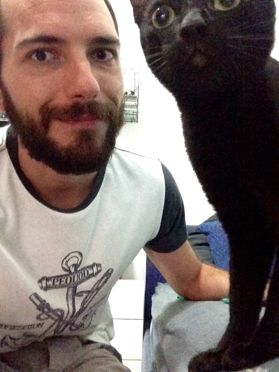 Man Chases Down the Street to Save Crying Kitten So He Could Give Him a ...