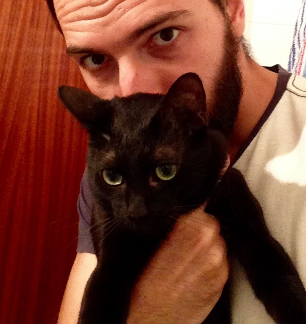 Man Chases Down the Street to Save Crying Kitten So He Could Give Him a ...