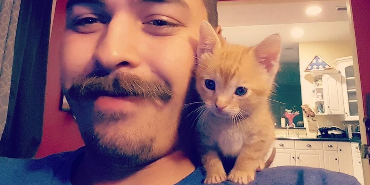 Man Saves a Tiny Kitten who Becomes His Purrfect Partner - Love Meow