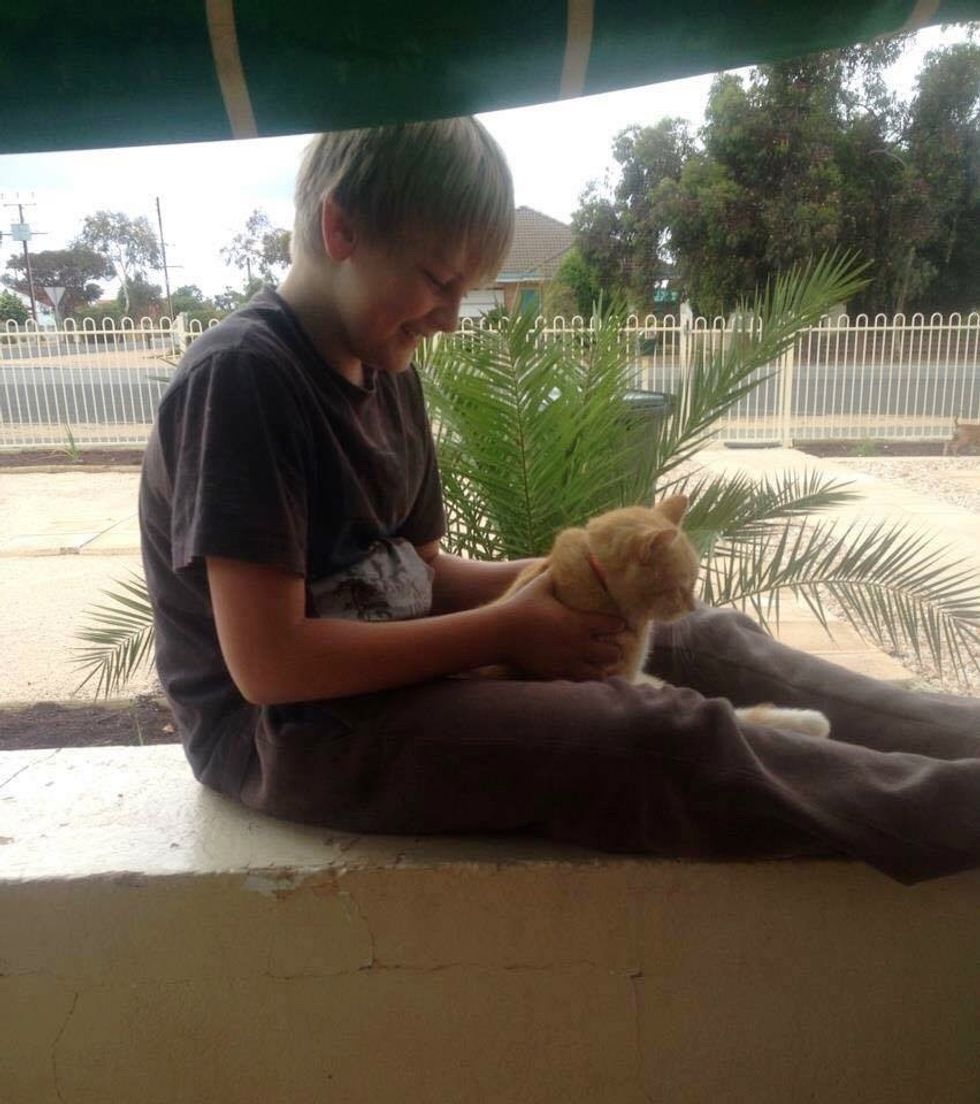 Boy Saves Abandoned Cat From Street, the Kitty Returns the Favor - Love ...