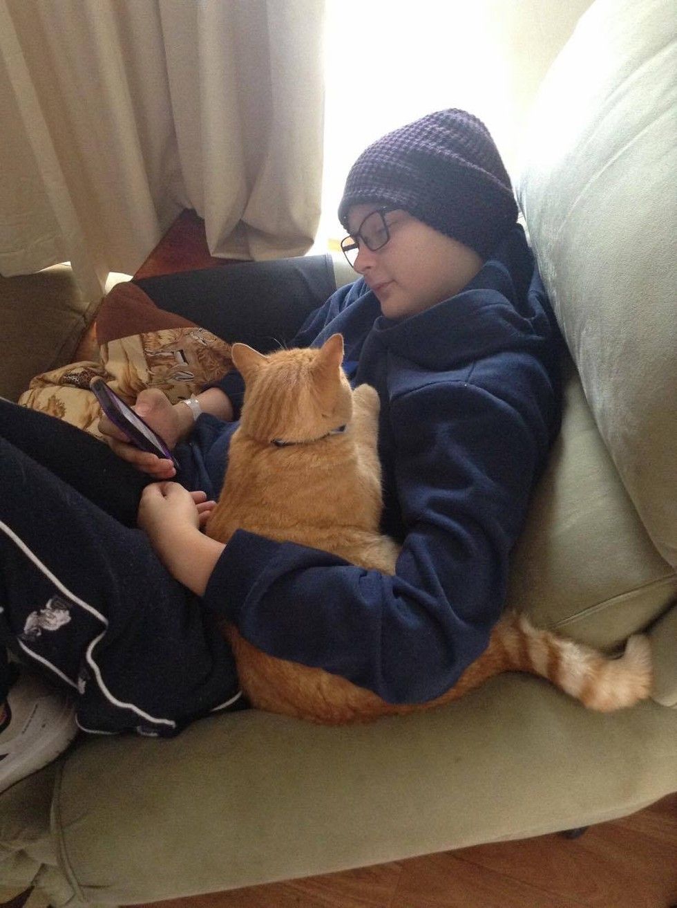 Boy Saves Abandoned Cat From Street, the Kitty Returns the Favor - Love ...