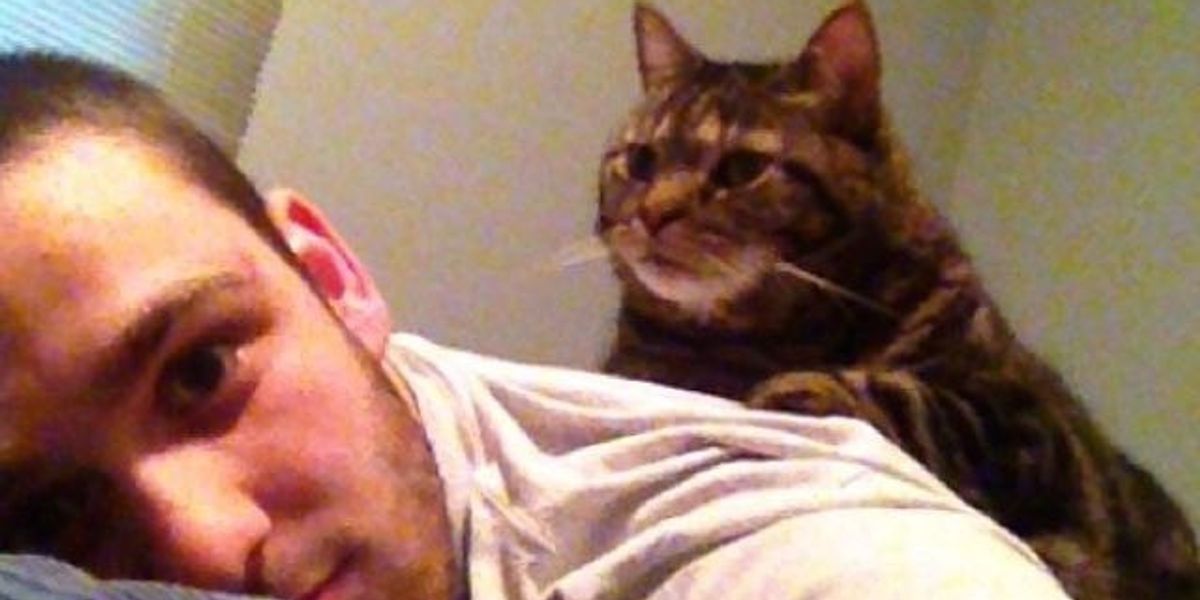Boy Found Stray Cat in a Rusty Boat. 13 Years Later, They are Still ...