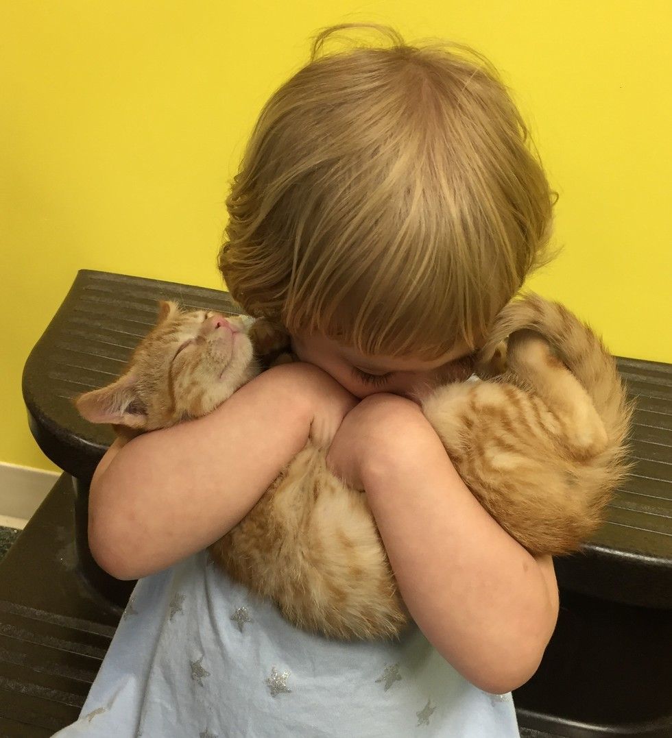 Shelter Kitten and 2 Year Old Girl Choose Each Other, Now Three Months ...