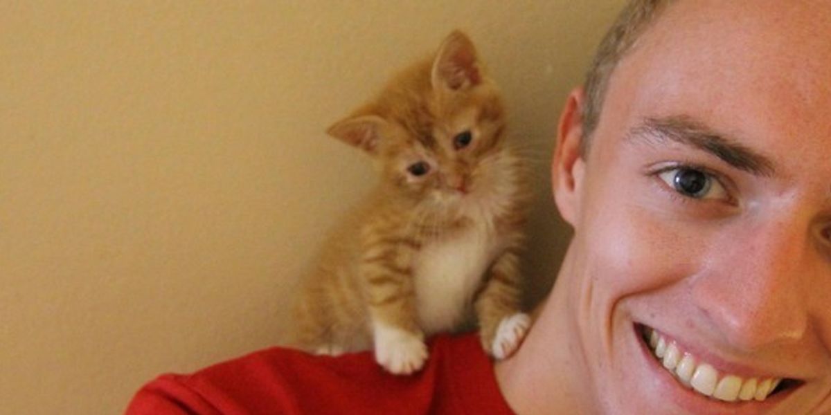 Man Saves Crying Kitten Found on His Doorstep, the Kitty Wouldn't Let ...