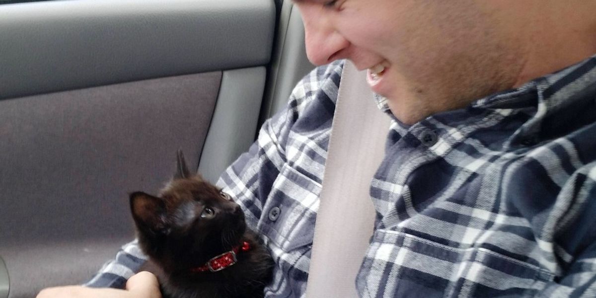 The Joy When This Guy is Chosen by a Tiny Kitten... (with Updates ...