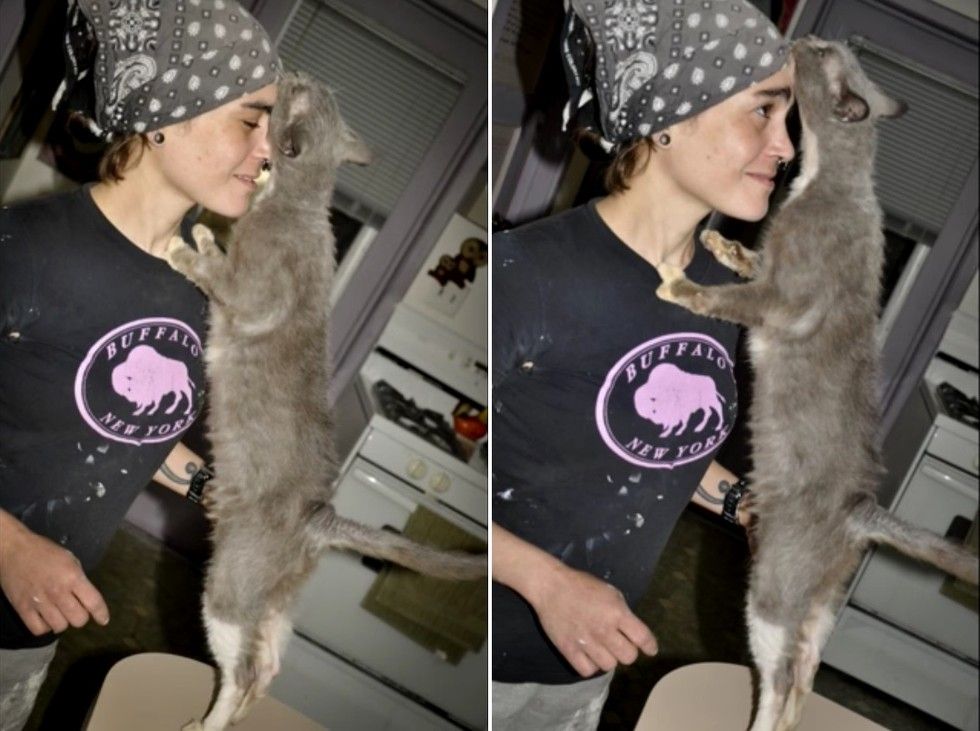 Cat Grew Up in Cage is Given Freedom and Love, She Can't Stop Thanking ...