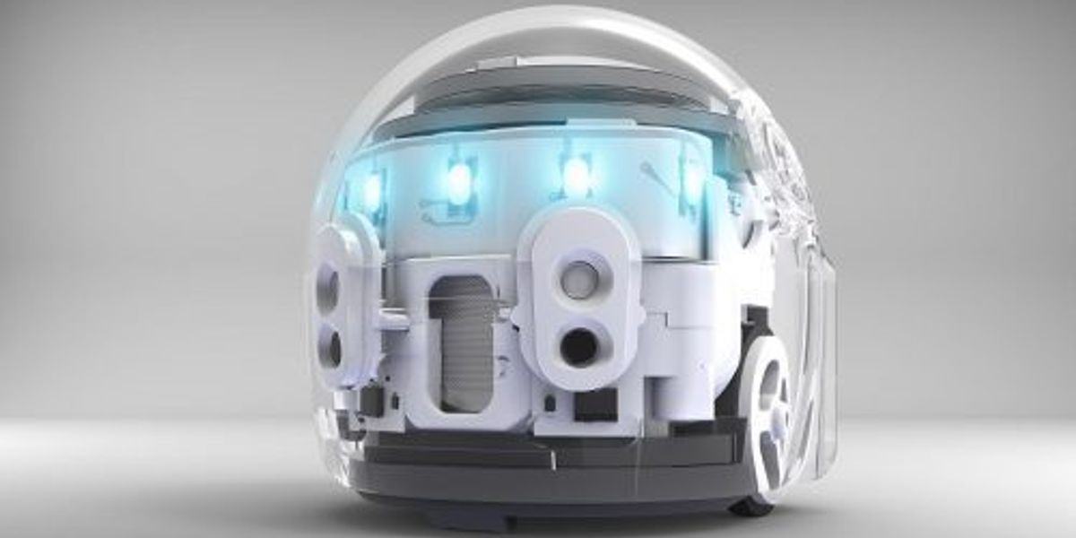 Ozobot Evo Robot Review - Gearbrain
