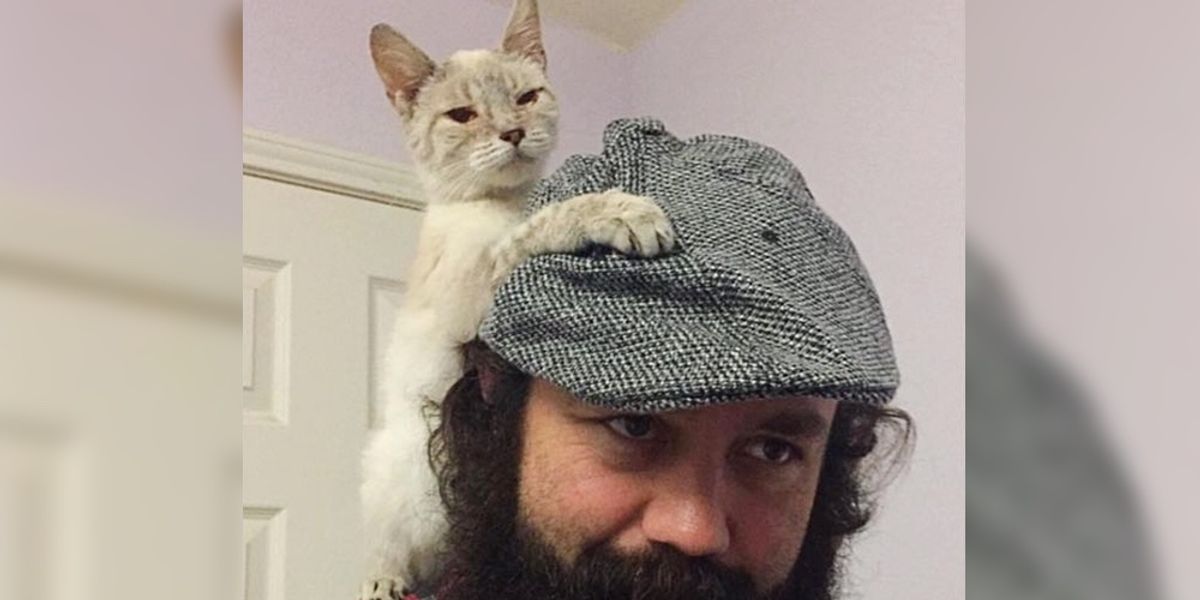 2 Year-old Cat, Size of 3 Month Kitten, Can't Stop Hugging Her Rescuers ...