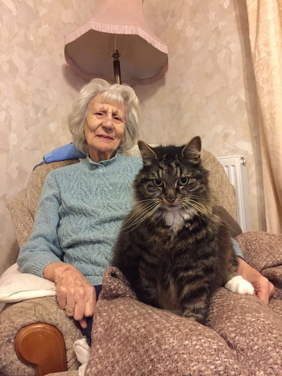 Cat Brings Meaning to 90 Year Old Grandma and is the Love of Her Life ...