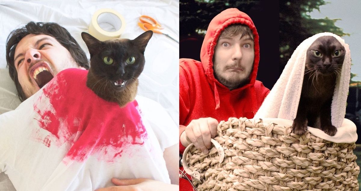 Guy and His Cats Recreate Famous Movie Scenes Together.. - Love Meow