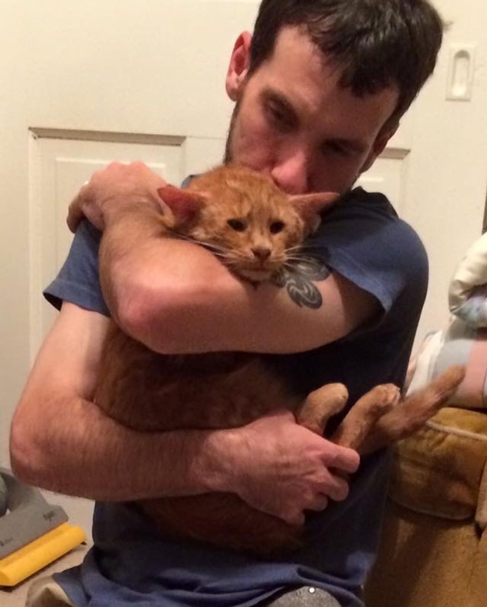 This Special Blind Cat Has 4 Ears and Ability to Touch Hearts - Love Meow