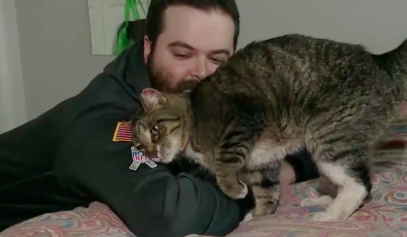 Man Finds Freezing Cat Under Train Engine and Brings Him Back from the ...