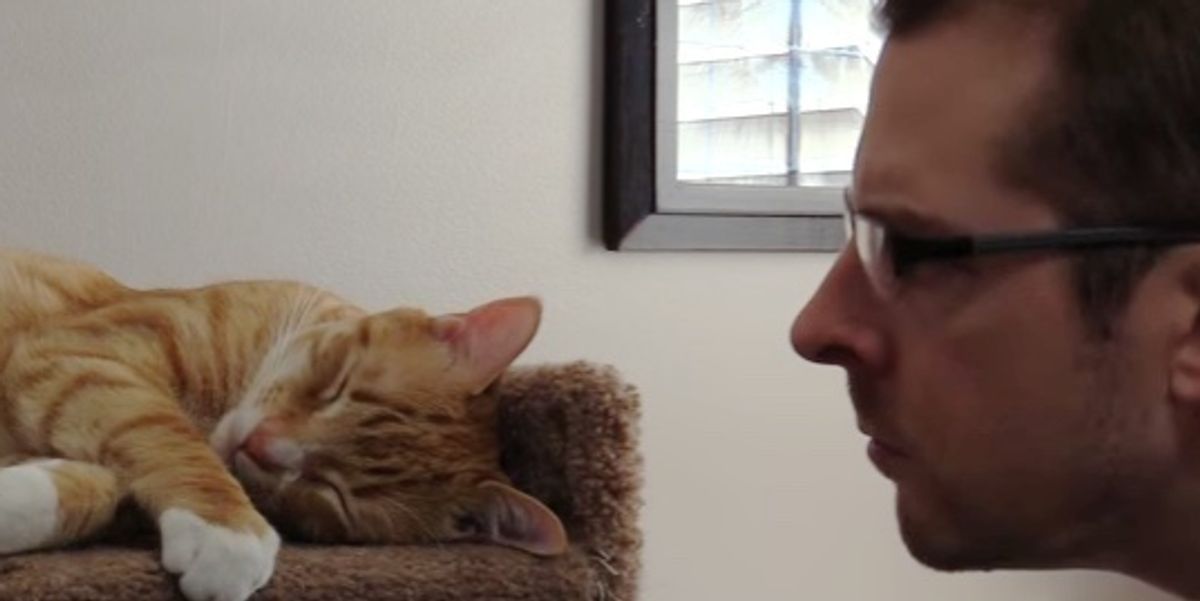 Cat Man Chris Responds to the Guy Who Vengeance Meowed in His Cat's ...