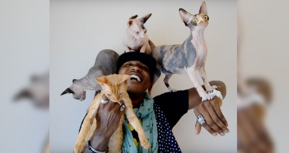 Man Who Never Liked Cats Now Can’t Live Without Them and Helps Them ...