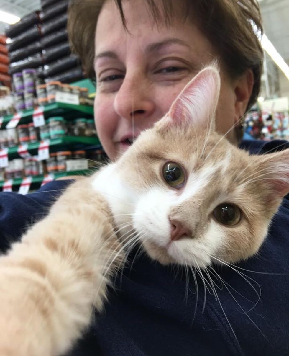 Rescue Cat So Happy to Be Adopted He Can't Stop Hugging His Human ...
