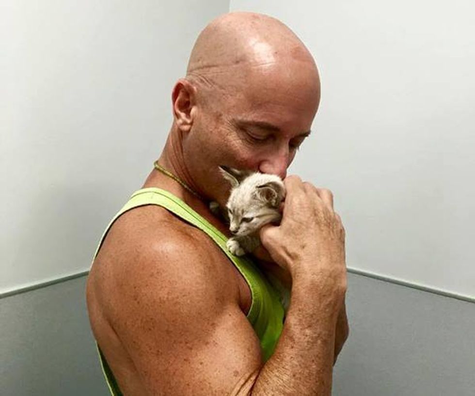 Man Transforms His House into Cat Paradise for His 22 Rescued Cats ...