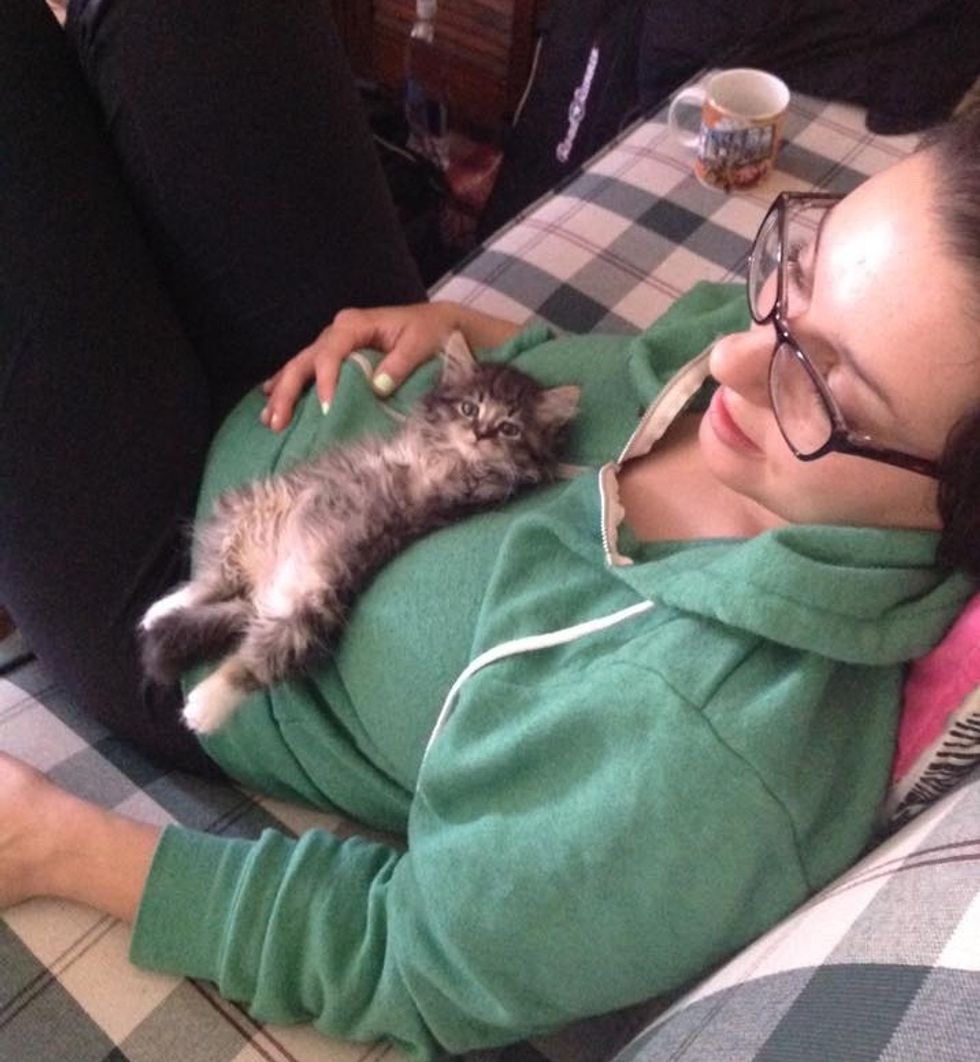 Cat Born with Two Legs Goes from Lying on Her Back to Running on Two ...