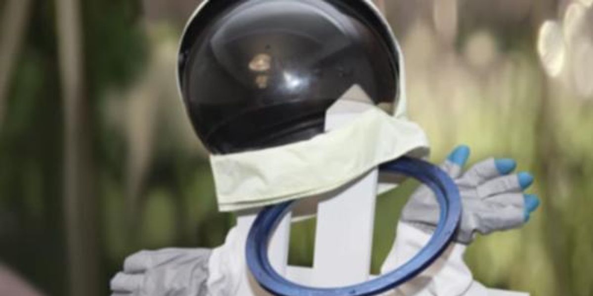 Watch Stephen Colbert's Trailer For "Hidden Fences" - PAPER Magazine