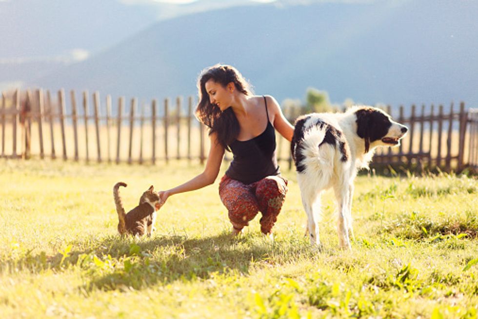 how pets make us happy and healthy