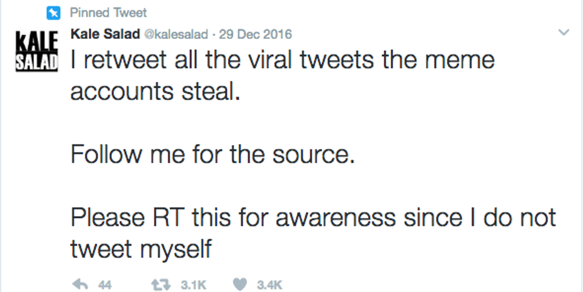 Meet Kale Salad, the Meme Account Giving Creative Ownership Back to the ...