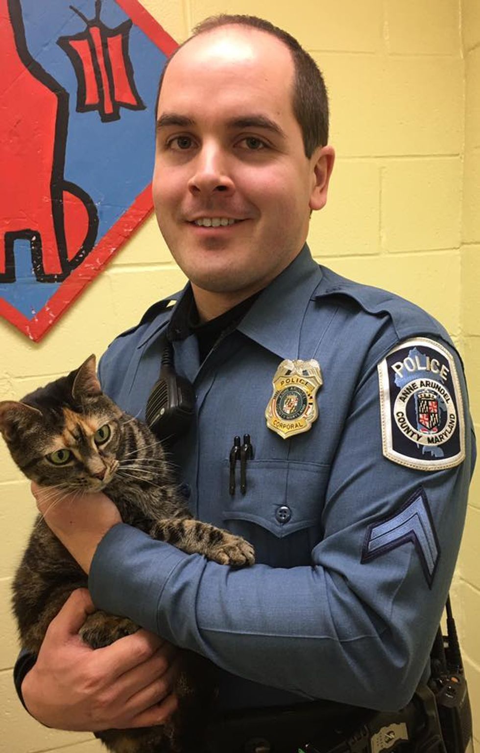 Officer Rescued Cat Who Lost Both Her Owners, Goes Back to Shelter for ...