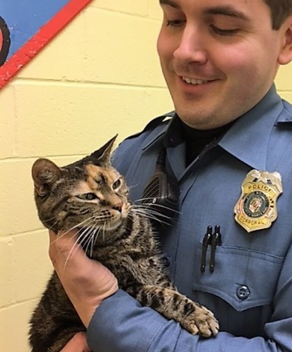 Officer Rescued Cat Who Lost Both Her Owners, Goes Back to Shelter for ...