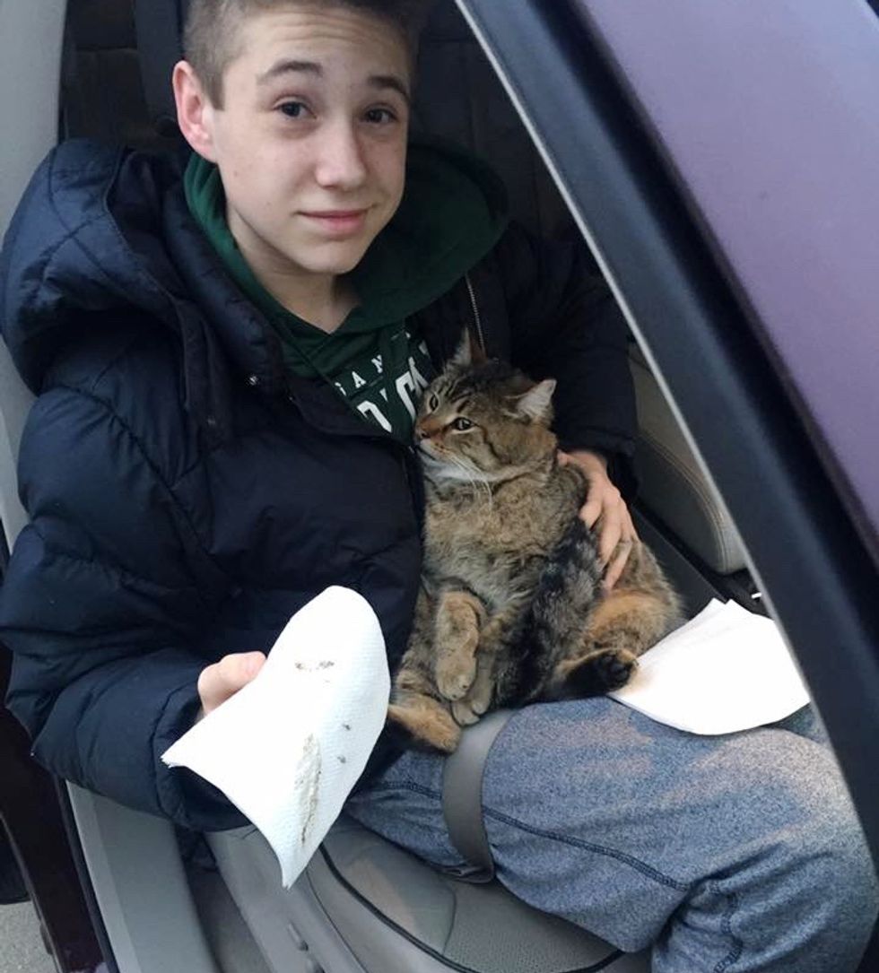 14-year Old Boy Dives into Overpass to Save Cat Hanging Over Bridge ...