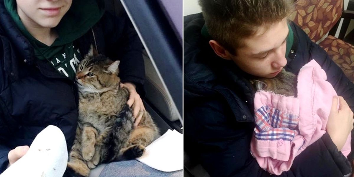 14-year Old Boy Dives into Overpass to Save Cat Hanging Over Bridge ...
