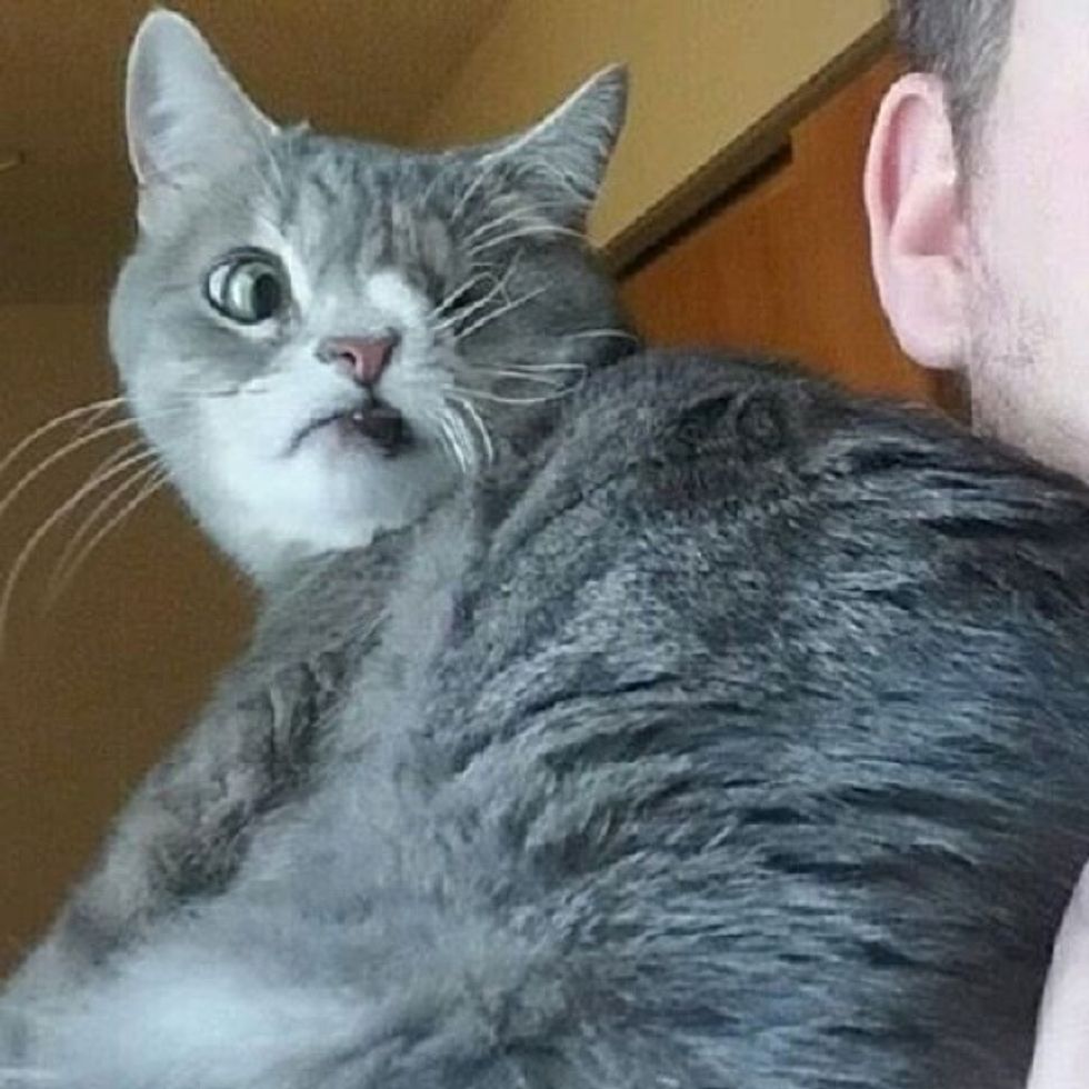 Couple Takes a Chance on a Special Cat Who Couldn't Find a Home, Now 2 ...