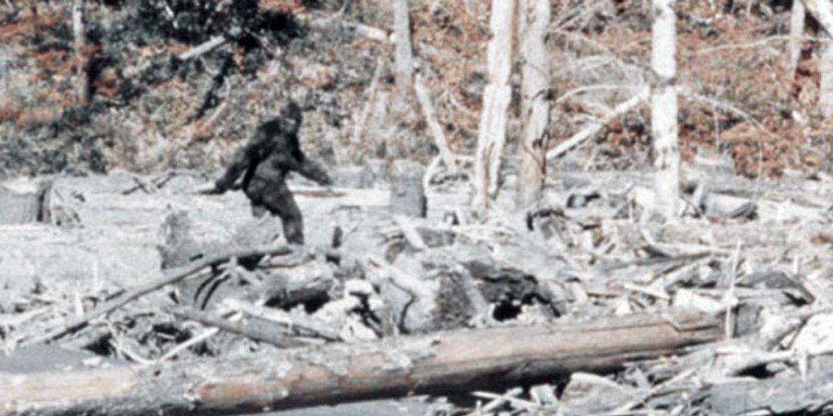 Nation's First Bigfoot Conference + Film Festival Comes to San ...