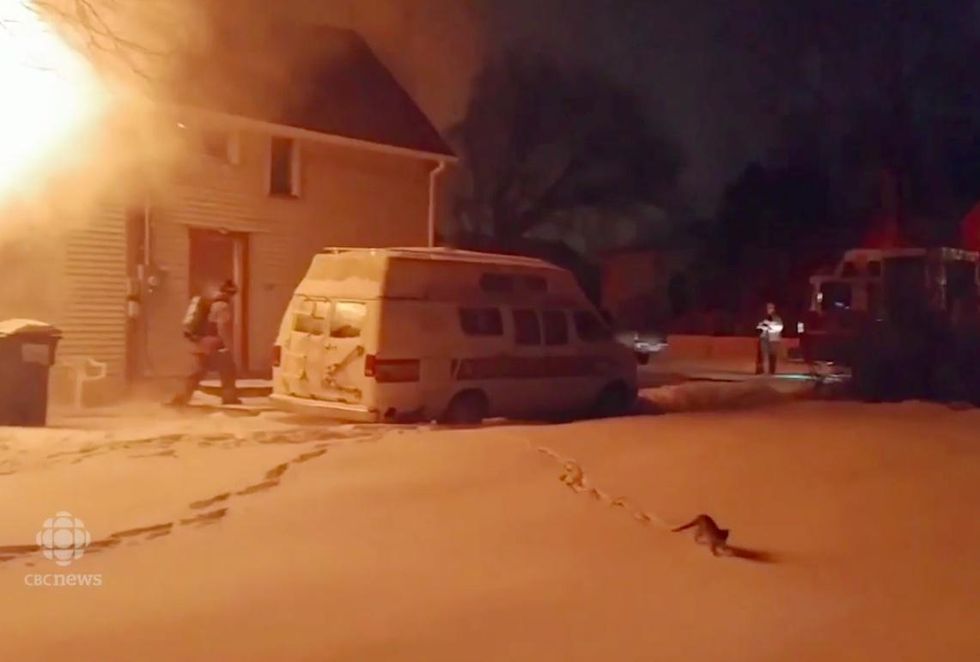 Man is Shocked to See Cat Leap Away from Fire and Rushes to Save Her ...