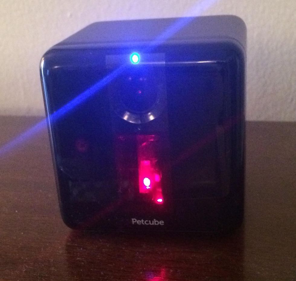 Review: Petcube peers into the secret life of your pets - Gearbrain
