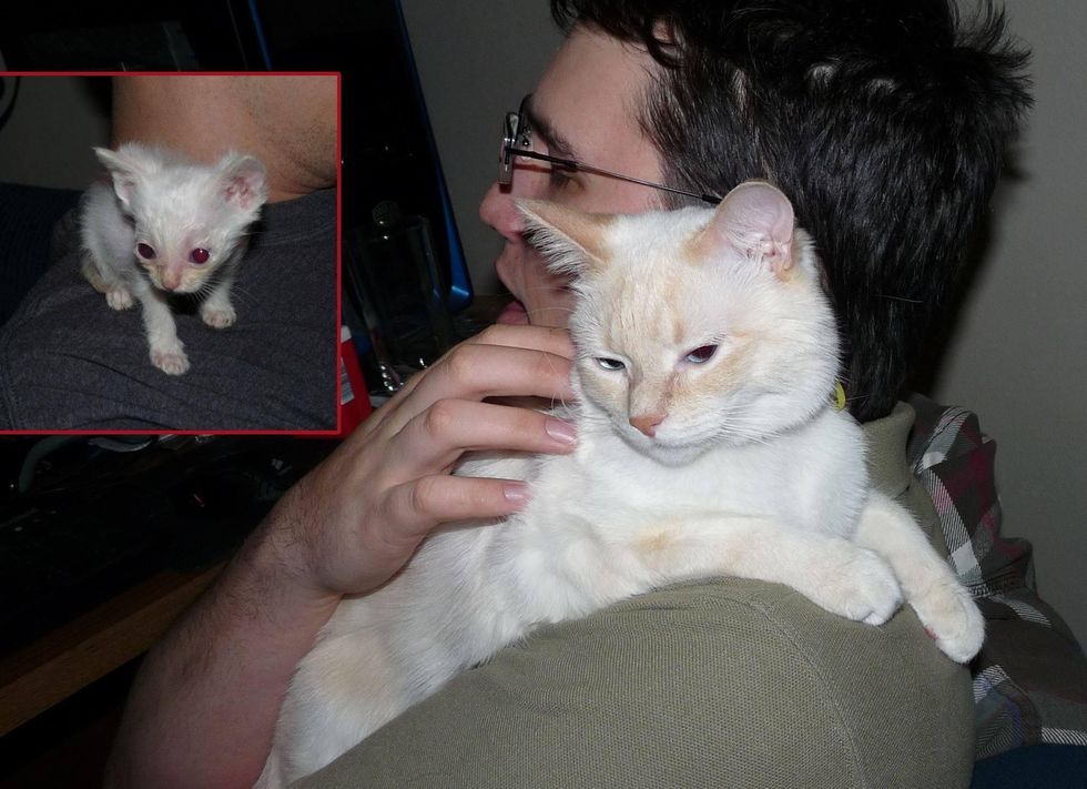 Tiniest Runt They Have Ever Seen Gets a Fighting Chance, Then and Now ...