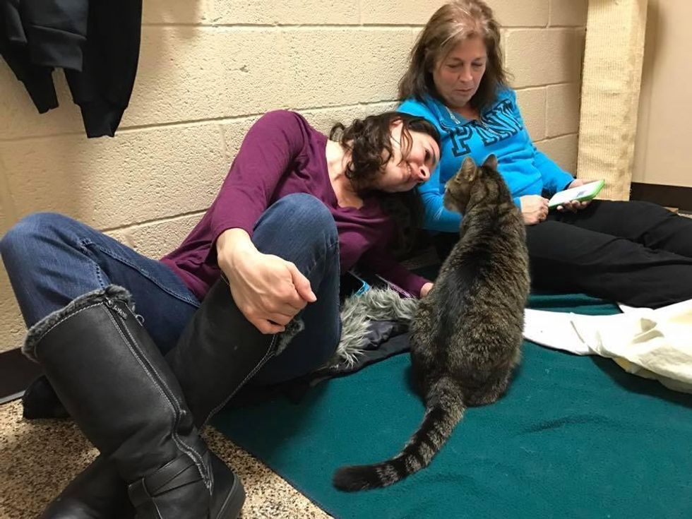 Family Saw Photos of Their Missing Cat on Shelter Page, Tearful Reunion ...