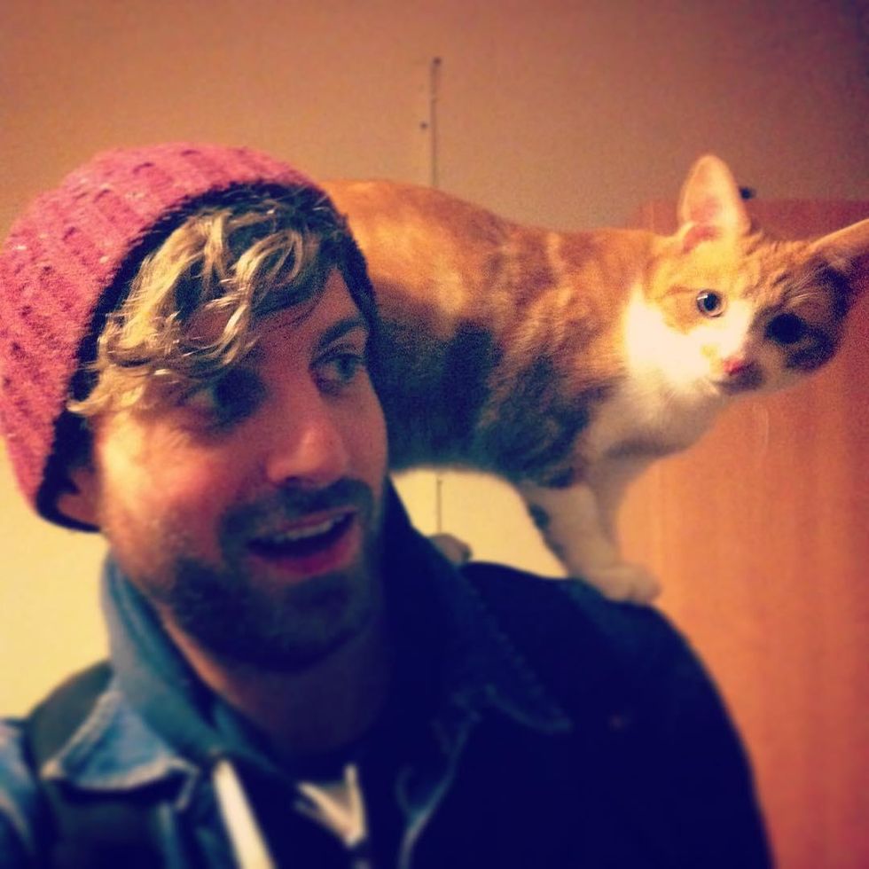 Man Saves Abandoned Kitten Who Cuddles Up to Him Asking for Love ...