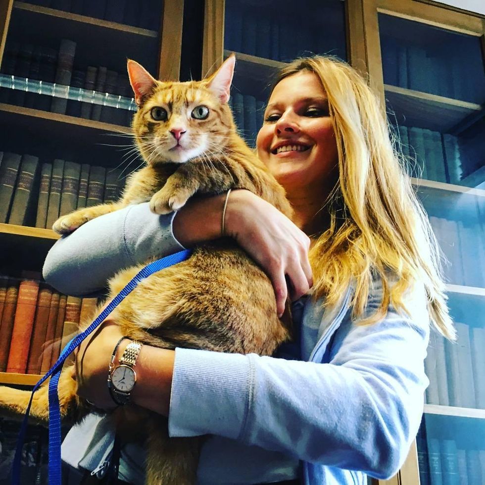 3-legged Library Cat Helps 140 Students De-stress Before Exams ...
