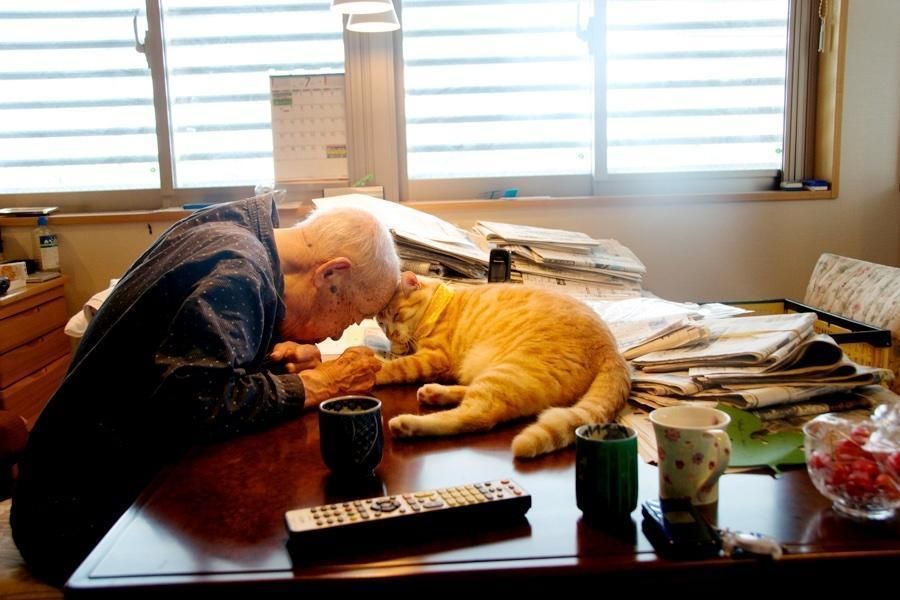 "I Got A Cat For My Sick And Grumpy Grandpa, and He Turned His Life ...
