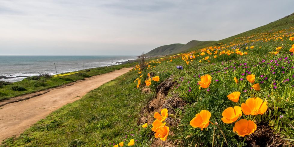 Spring Getaways to the Central Coast (if You Can't Get to Big Sur ...