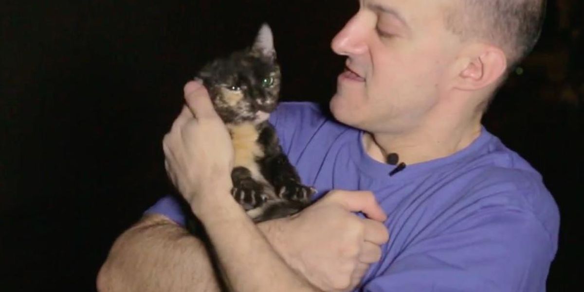 Cat Man Never Misses a Day in 10 Years Caring for Hundreds of Strays ...