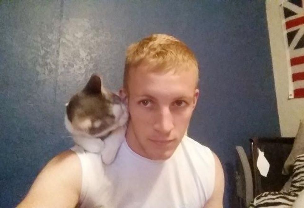 Shelter Cat Climbs on Man's Shoulders Asking Him to Be His Forever ...