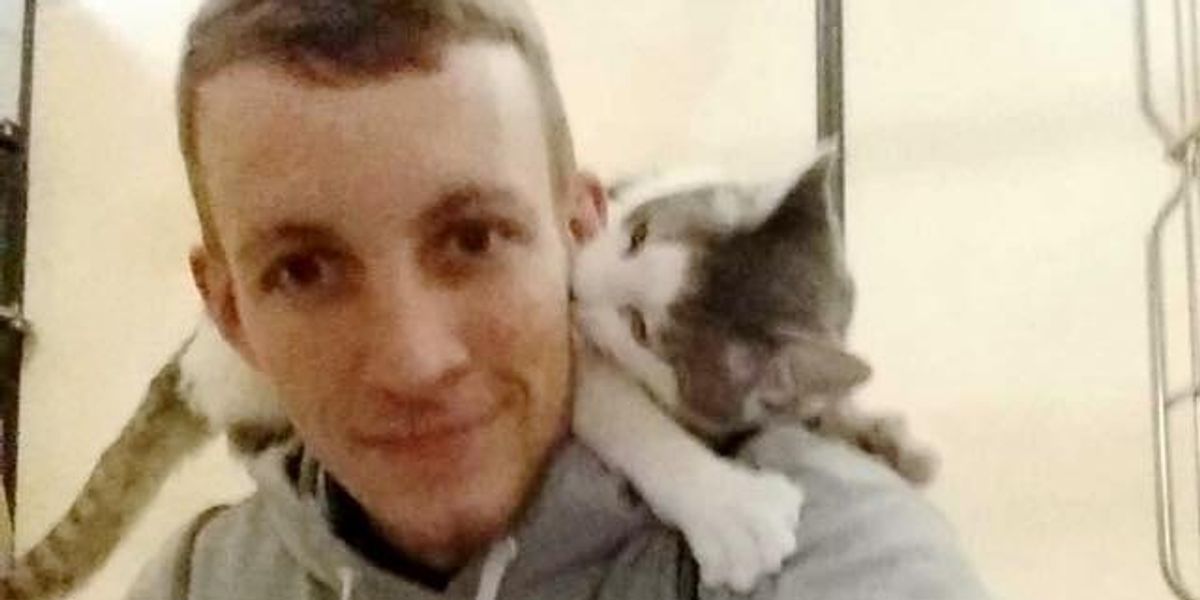 Shelter Cat Climbs on Man's Shoulders Asking Him to Be His Forever ...