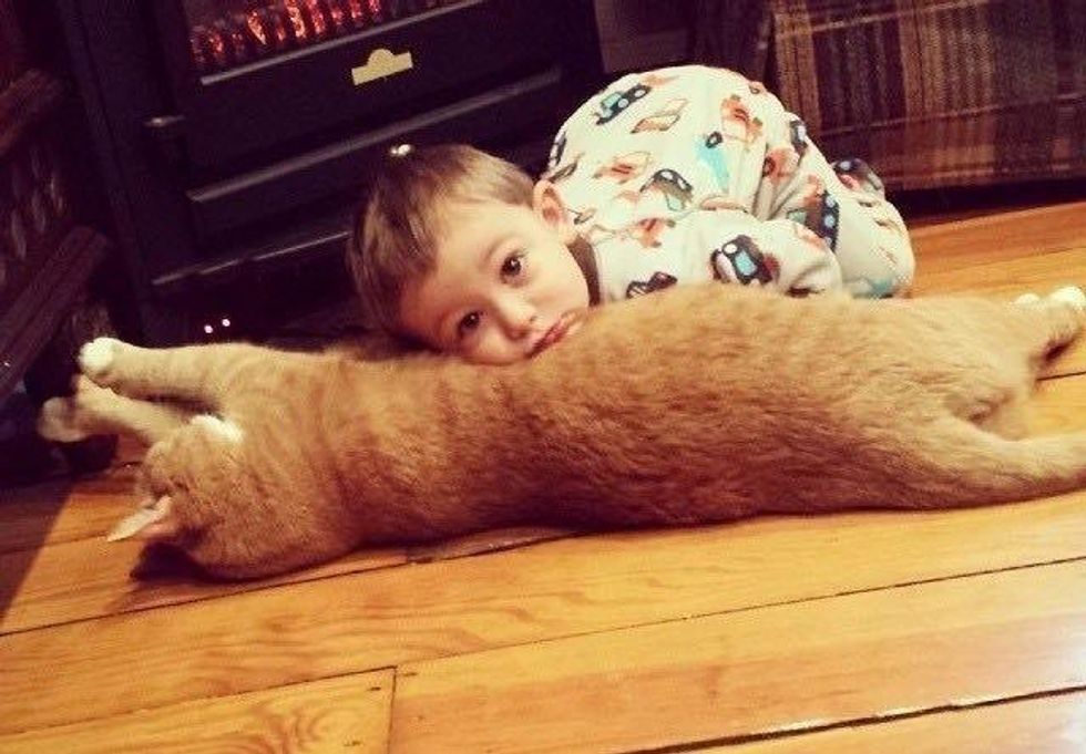 'Unwanted' Ginger Cat Becomes Guardian to Boy, His Human for Life ...
